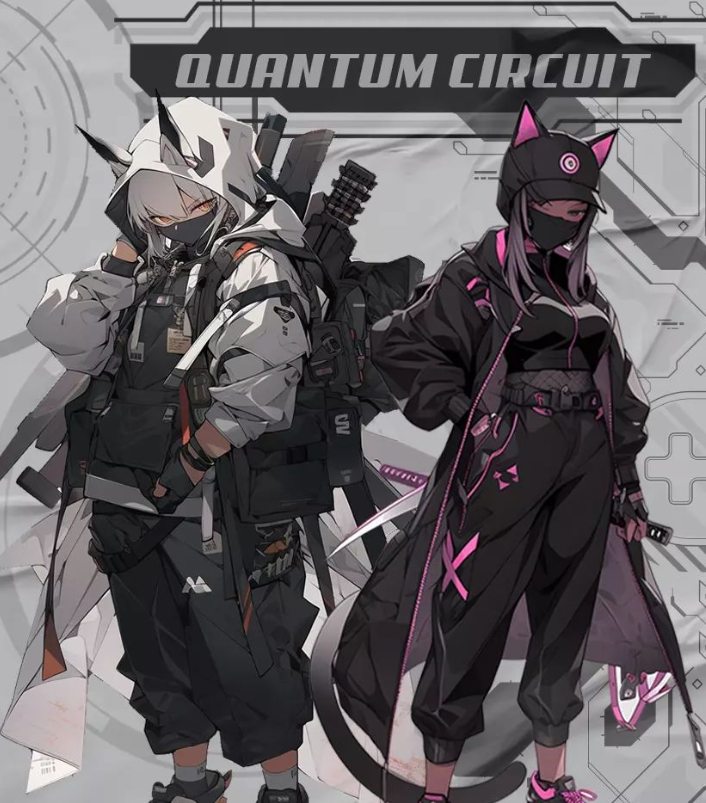 Quantum Circuit